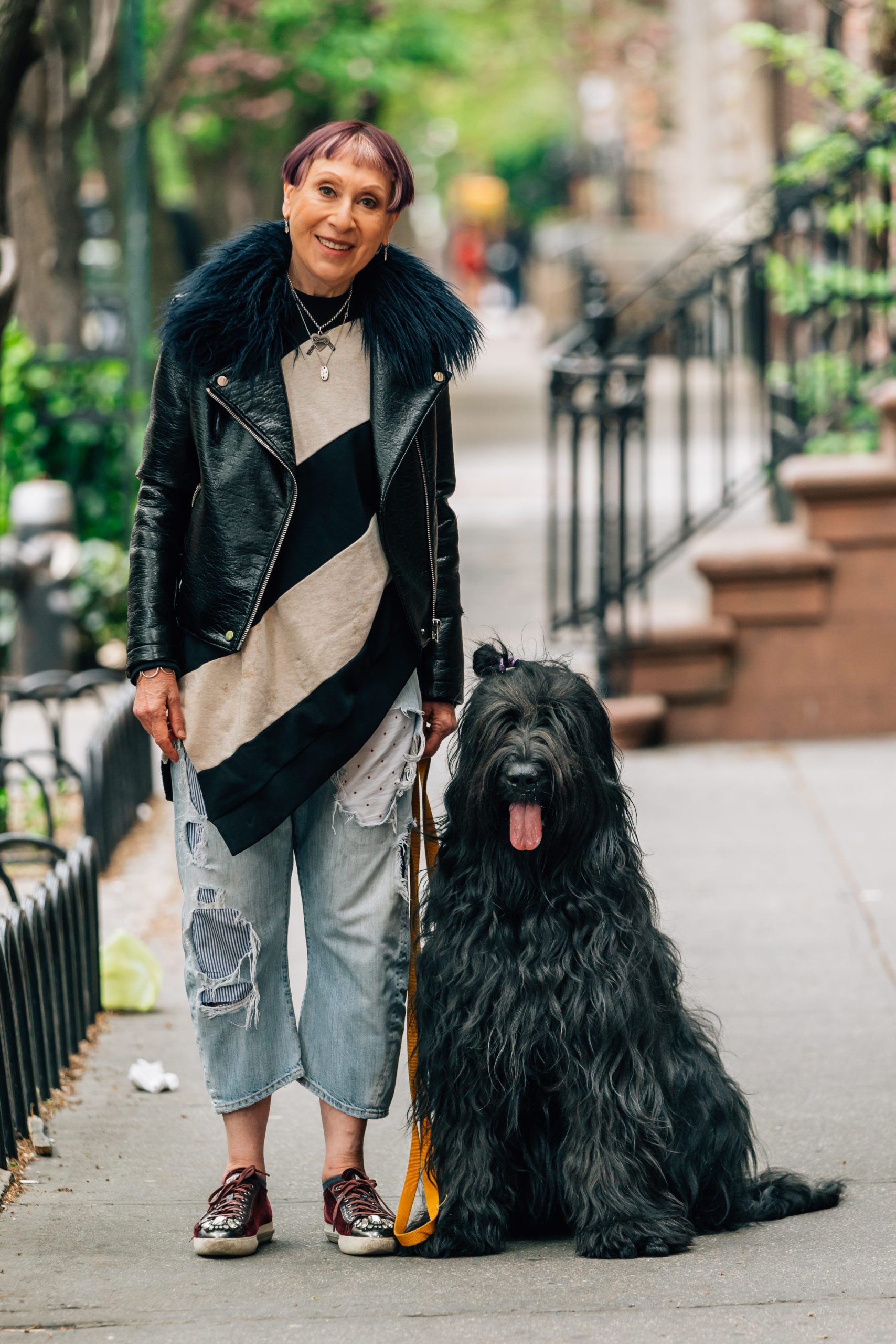 Service Dog Follow up Lessons | Dog Relations New York City